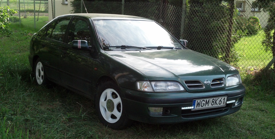 Немного фоток — Nissan Primera (P11), 2 л, 1997 года | фотография | DRIVE2