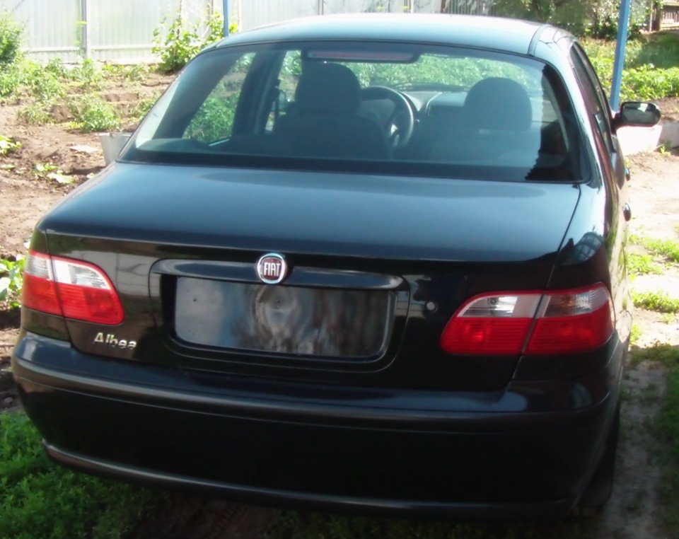 Первые фото — FIAT Albea, 1,4 л, 2011 года | покупка машины | DRIVE2