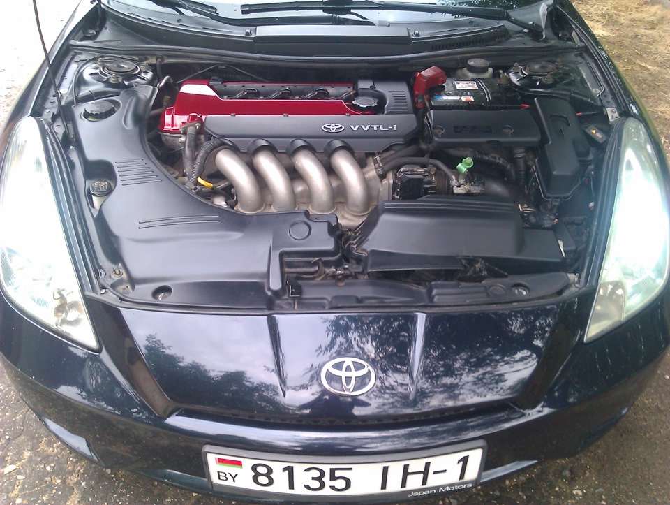 Лифт-болты — Toyota Celica (230), 1,8 л, 2003 года | плановое ТО | DRIVE2