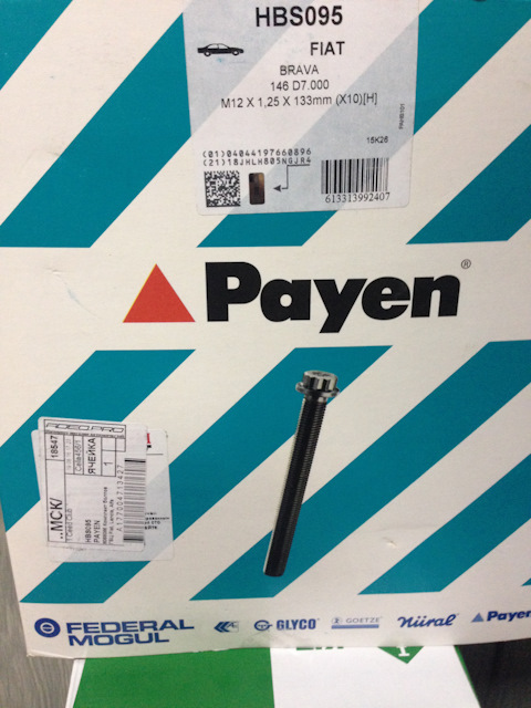 HBS095 Комплект болтов ГБЦ 1.7-1.9D PAYEN | Запчасти на DRIVE2