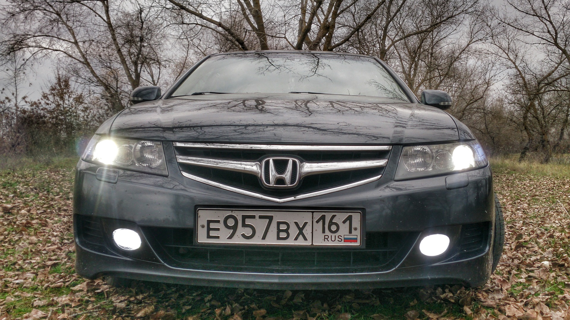 Honda Accord (7G) 2.4 бензиновый 2007 | 2,4 executive на DRIVE2