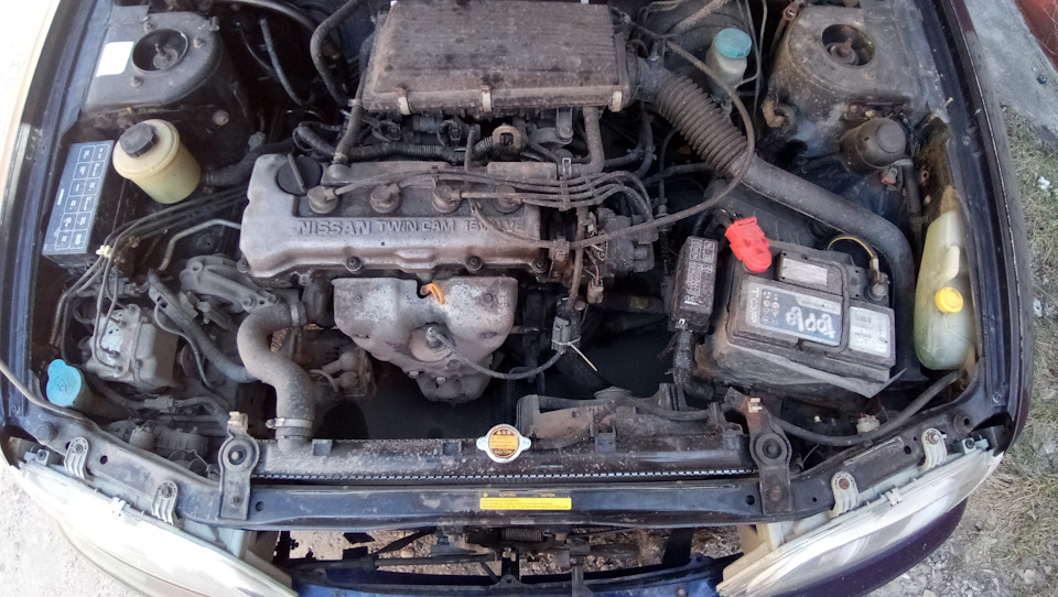 Оценка подкапотного. Планы — Nissan Primera (P11), 1,6 л, 1996 года ...