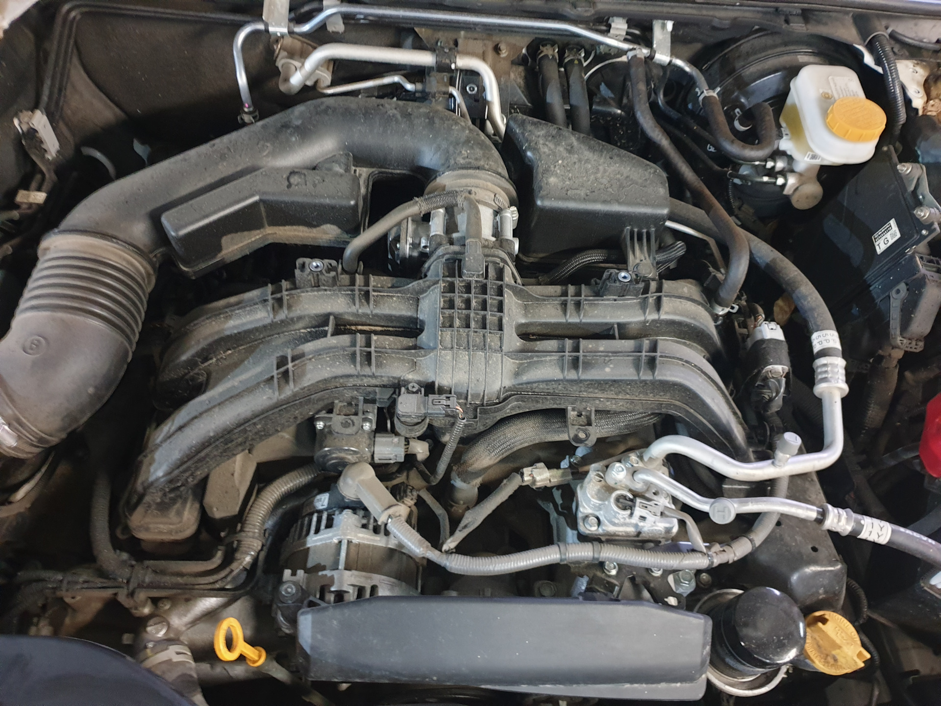 23774AA13" на что можно заменить крышку ремня? — Subaru Outback (BT), 2 ...