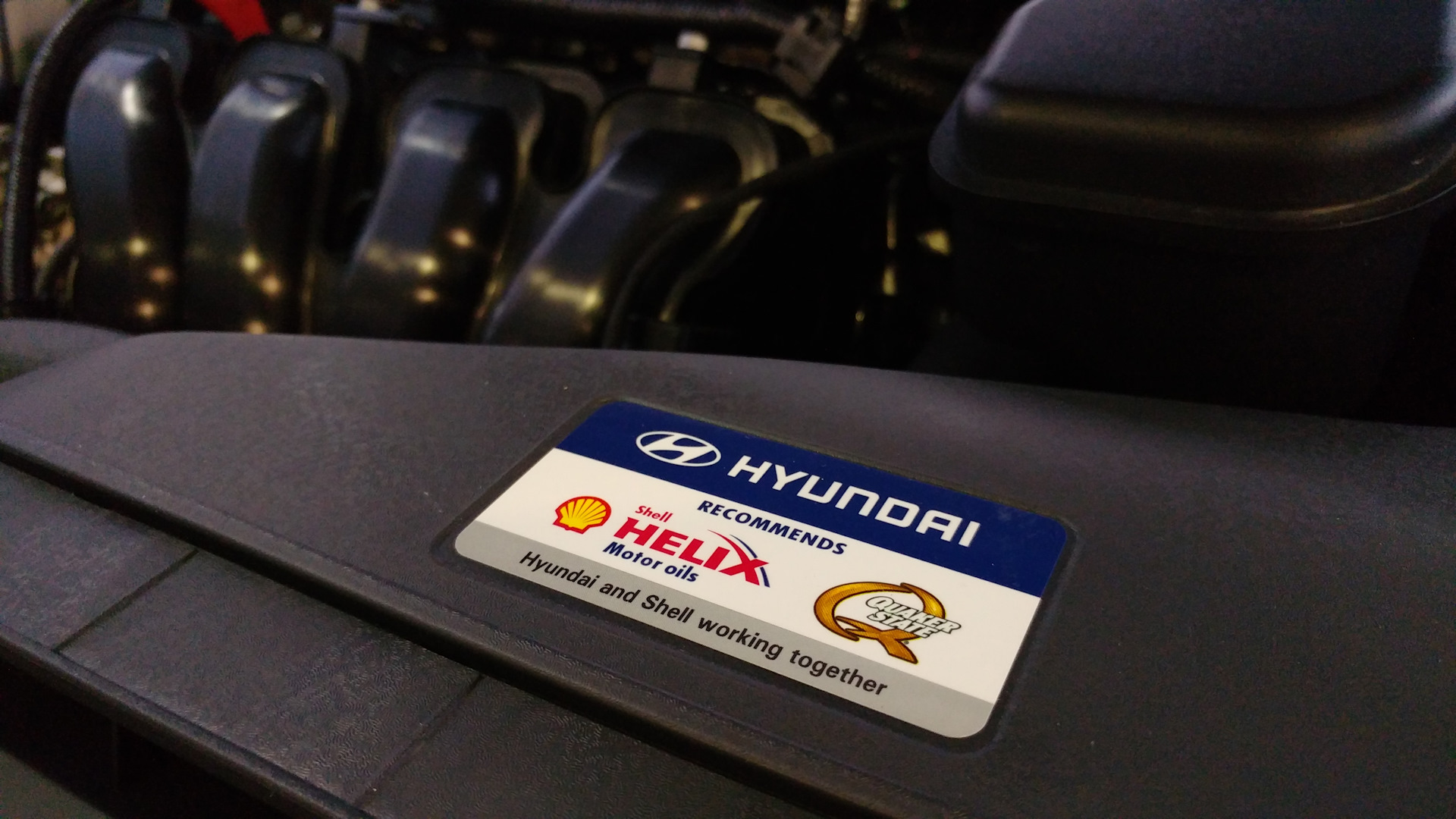 Нидерланды: Shell — DRIVE2