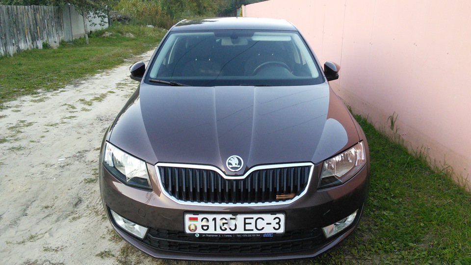 Elsa 5.1 vw — Skoda Octavia A7 Mk3, 1,4 л, 2013 года | другое | DRIVE2