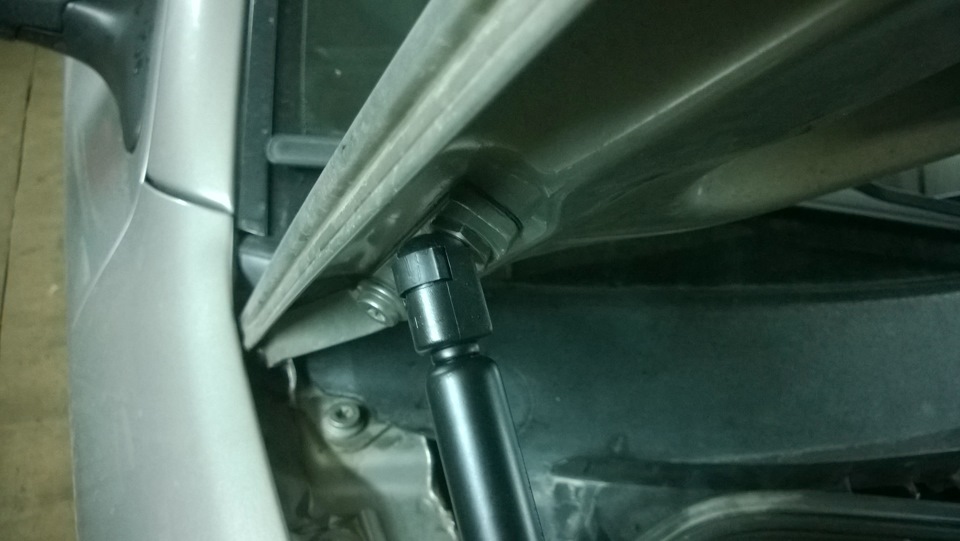 Газовые упоры капота. — Skoda Octavia A4 Mk1, 1,6 л, 2008 года | тюнинг ...
