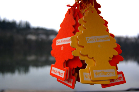 A0008990088 Флакон ароматизатора freeside mood Mercedes | Запчасти на ...