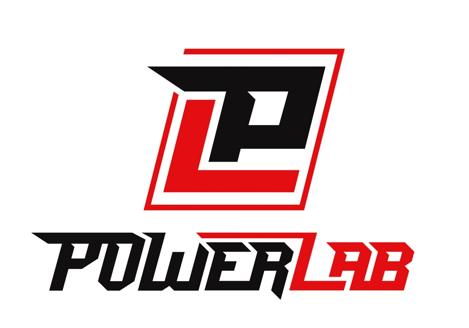 Powerlab Vol.1 Чип, EGR, Сажа — BMW 3 series Touring (E91), 2 л, 2008 года | тюнинг | DRIVE2