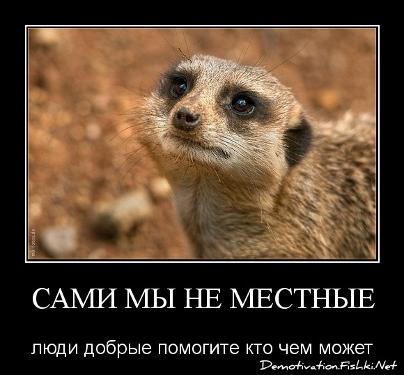 7703102041 Болт м12х1.75-91 крепления рыч RENAULT | Запчасти на DRIVE2