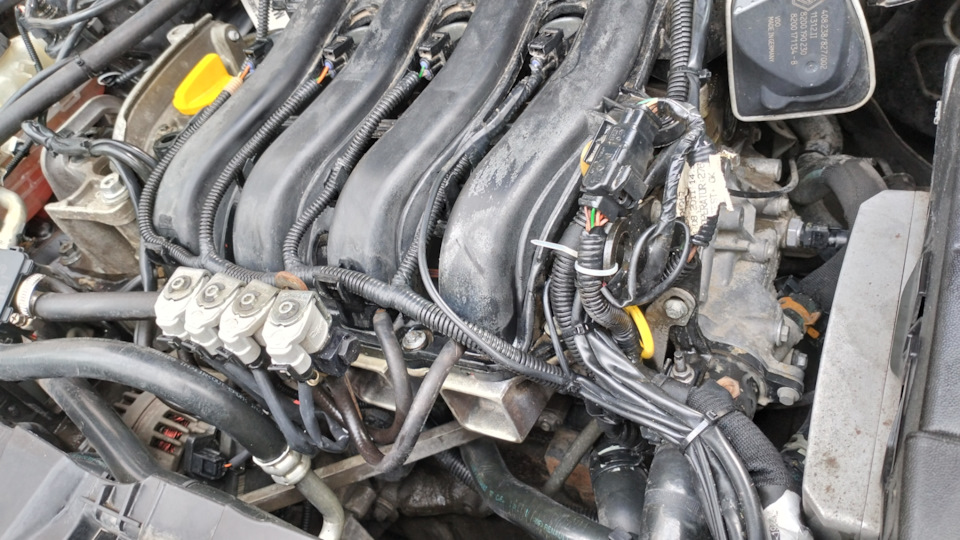 Пробуем Lavr пенный очиститель двигателя. — Renault Fluence, 1,6 л ...