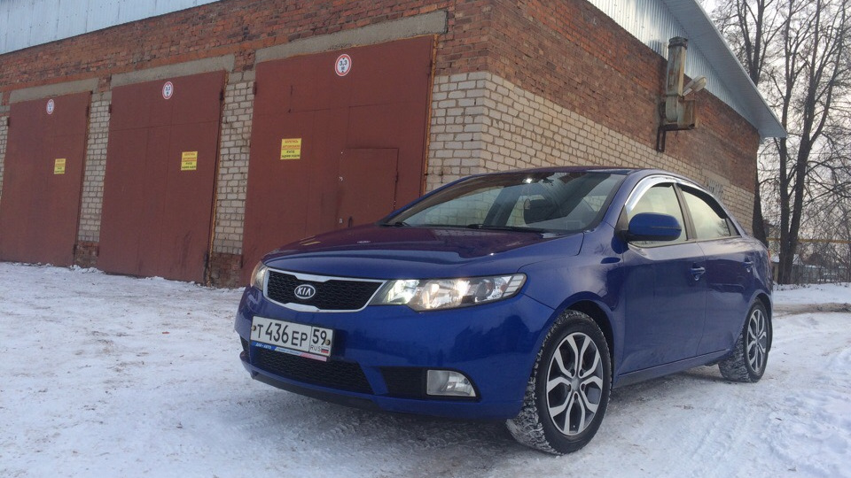 Выбор Масла — KIA Cerato (2G), 1,6 л, 2010 года | другое | DRIVE2