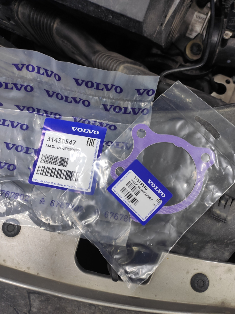 31375310 Прокладка вакуумного насоса Volvo | Запчасти на DRIVE2