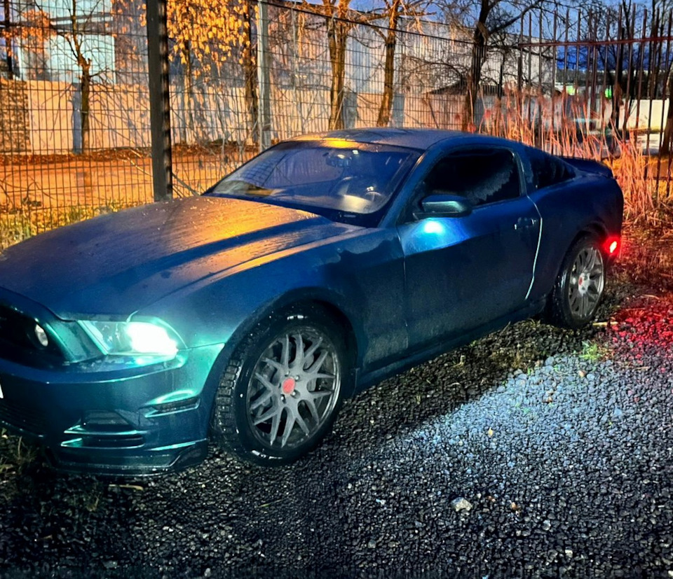 Покупка Гены — Ford Mustang (5G), 3,7 л, 2012 года | покупка машины ...
