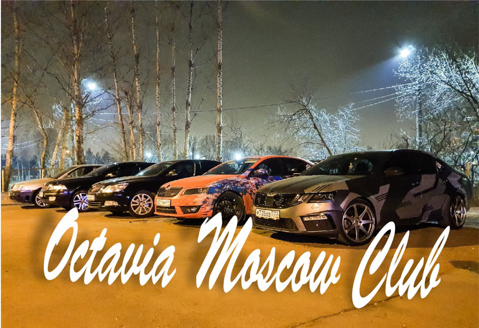 Telegram чат Octavia Moscow Club — Сообщество «Octavia Moscow Club» на ...