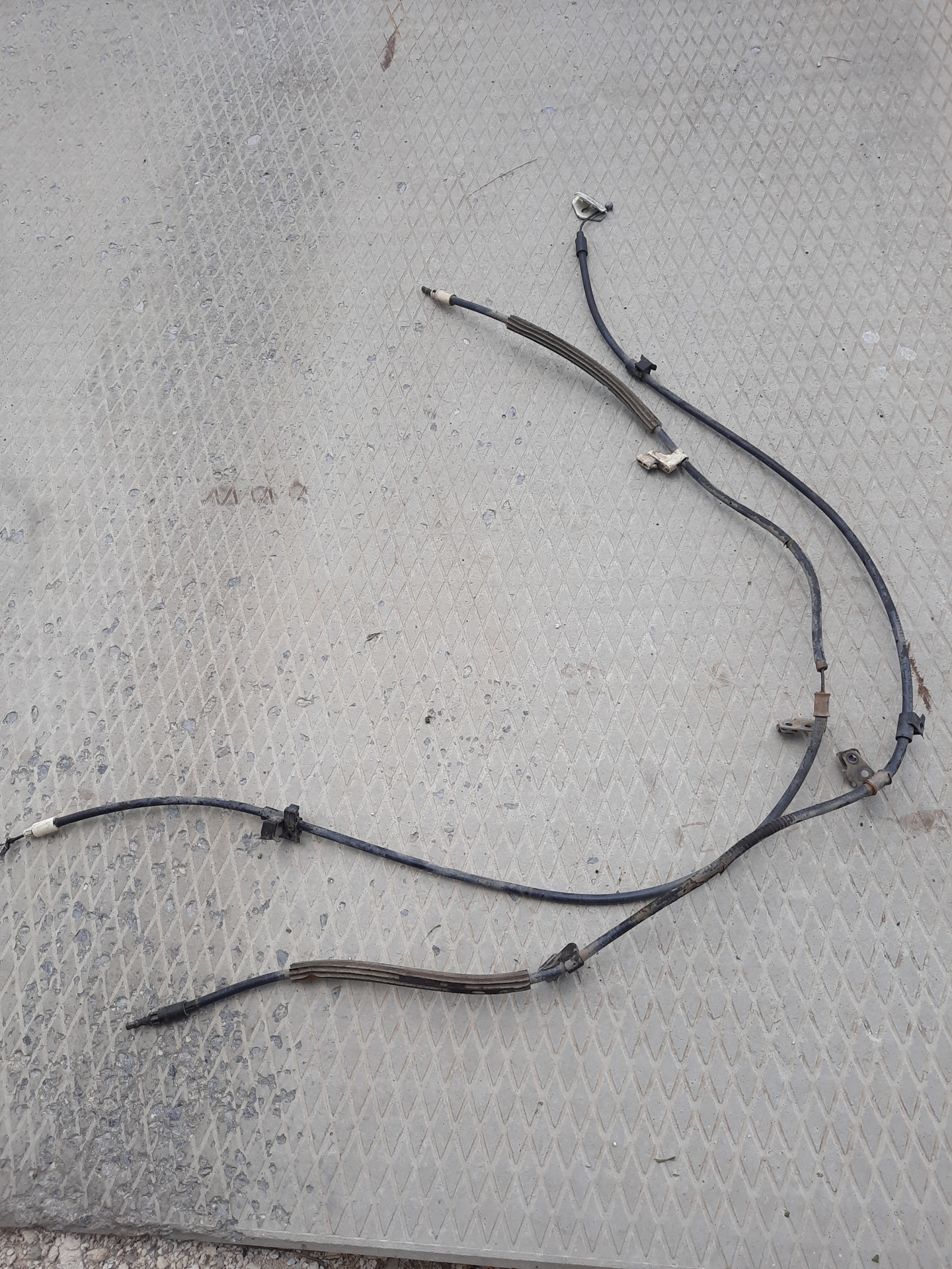 10 лет — Ford Focus Wagon III, 1,6 л, 2014 года | наблюдение | DRIVE2