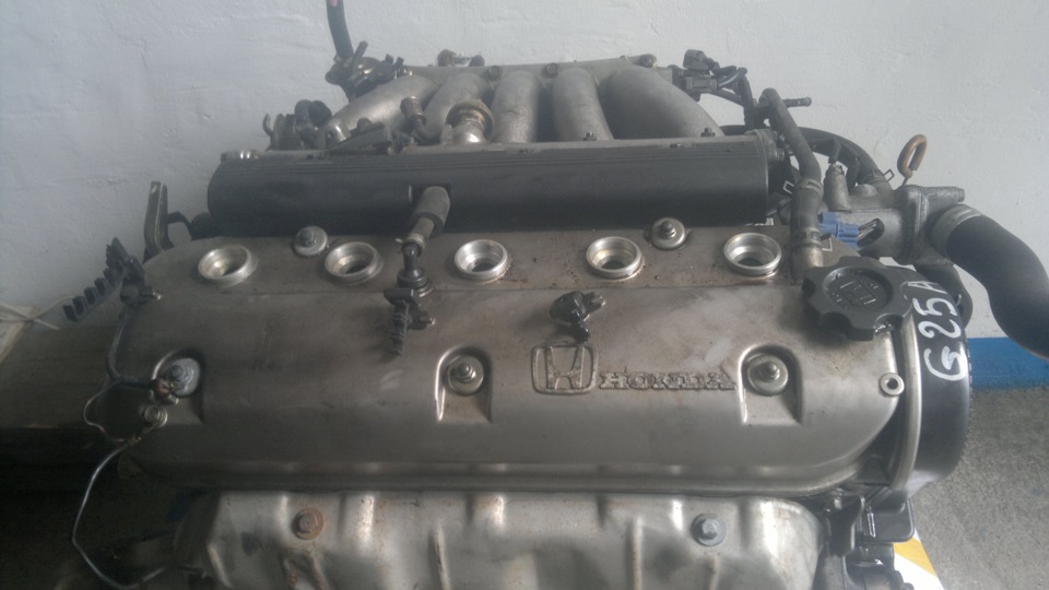 Новое сердце. — Honda Inspire (UA1, UA2, UA3), 2,5 л, 1996 года | другое | DRIVE2