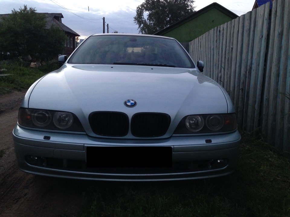 Замена ПТФ — BMW 5 series (E39), 2,2 л, 2001 года | своими руками | DRIVE2