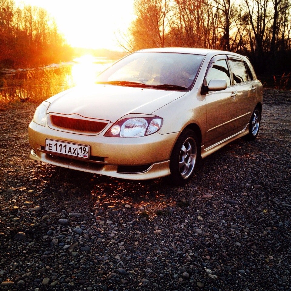 Решётка радиатора — Toyota Corolla (120), 1,5 л, 2002 года | аксессуары ...