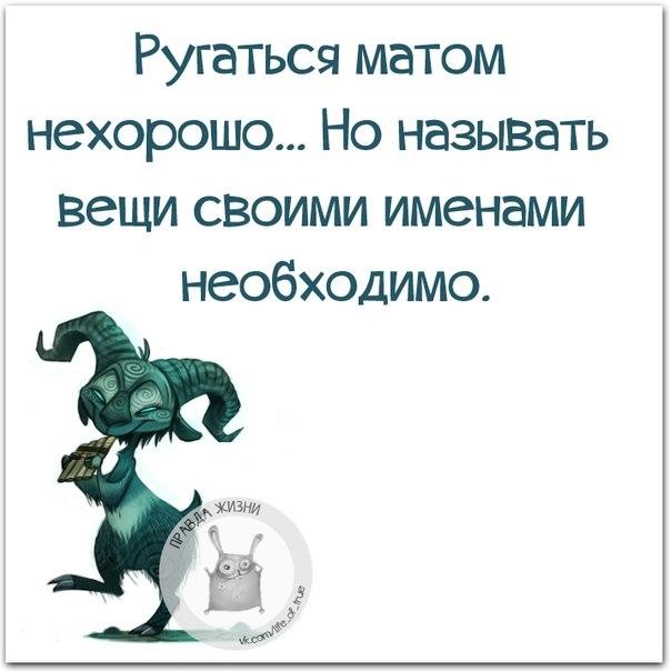 Правда жизни) — Сообщество «Позитивов☺зы» на DRIVE2