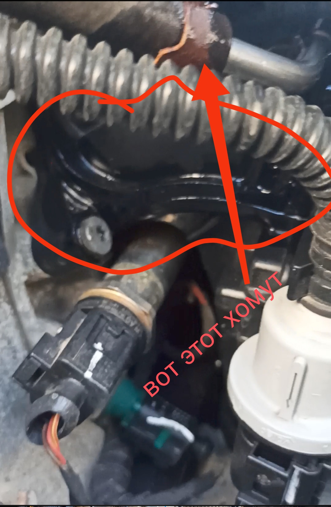 Снова ошибки: P2293, P008700, 02838 низкое давление топлива — Skoda ...