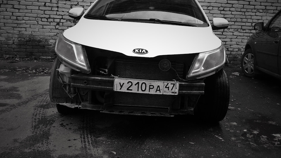шильдик РИО — KIA Rio (3G), 1,6 л, 2012 года | стайлинг | DRIVE2