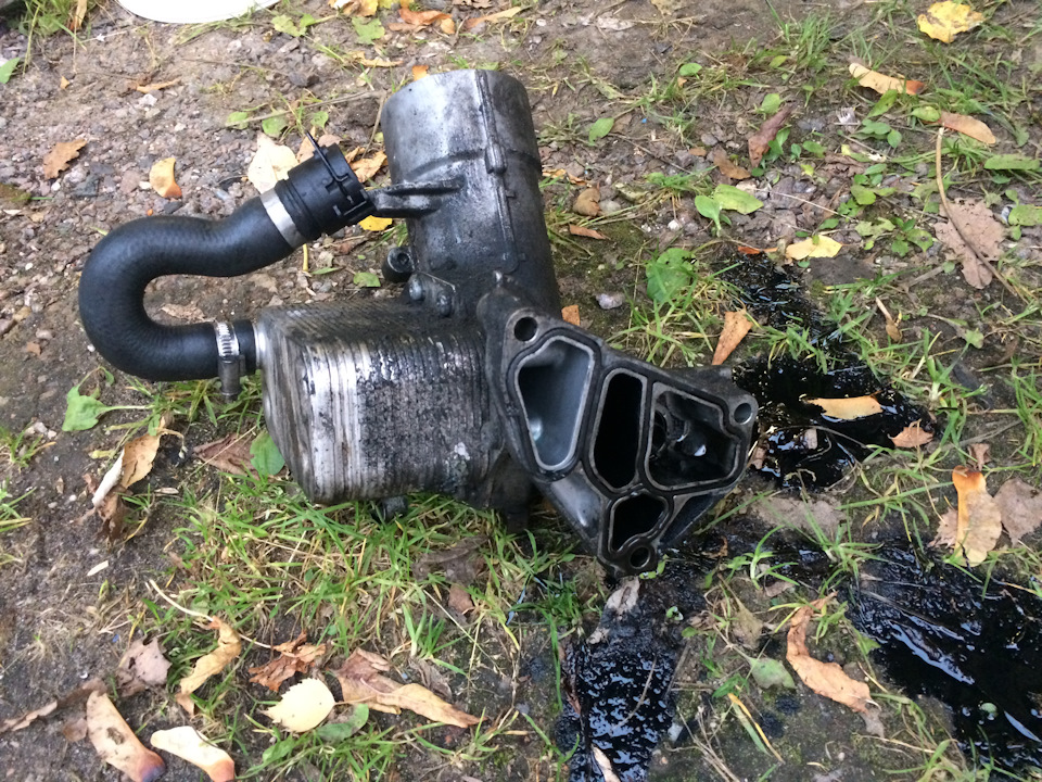 7. Про расход масла М57. КВКГ и подтёки. — BMW 5 series (E60), 3 л ...