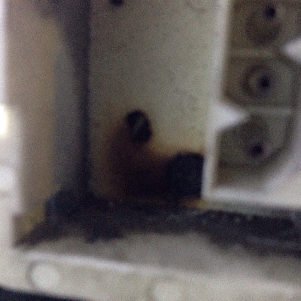 Коротко за 2 месяца — BMW 5 series (E34), 2 л, 1991 года | своими ...