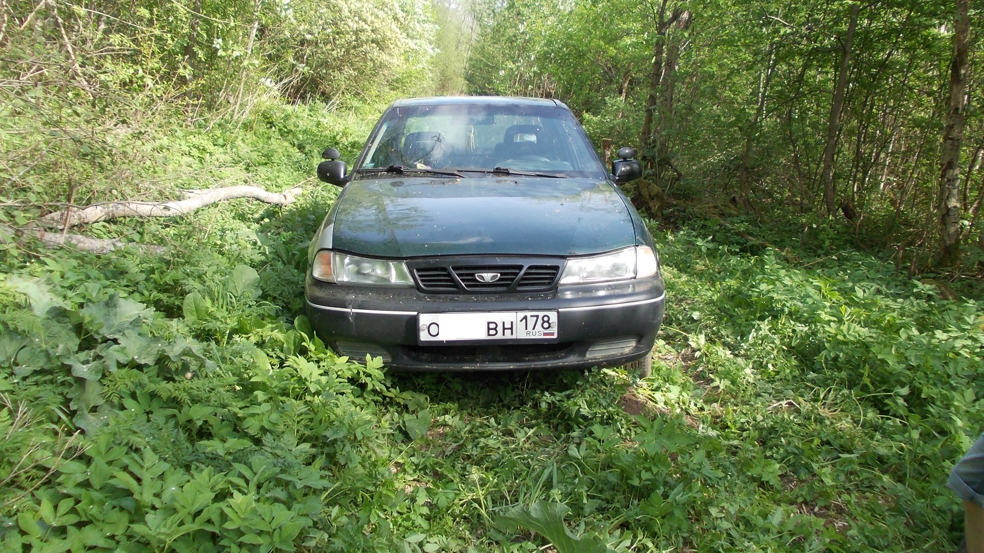 Daewoo Nexia 1.5 бензиновый 1998 | Ксюня (KLETN) на DRIVE2