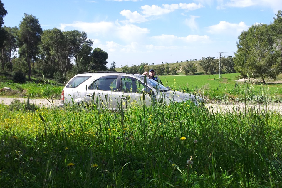 Суровою зимой под старою сосной — KIA Sorento (1G), 2,5 л, 2003 года ...