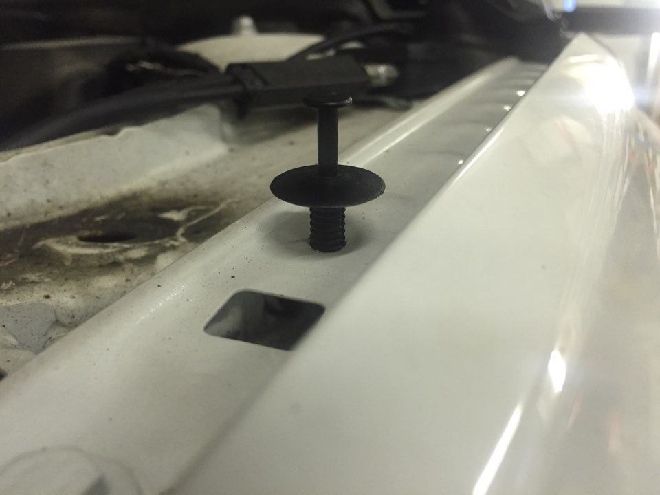 Уплотнители в двери и пыльники под капот — BMW 3 series (F30), 2 л ...