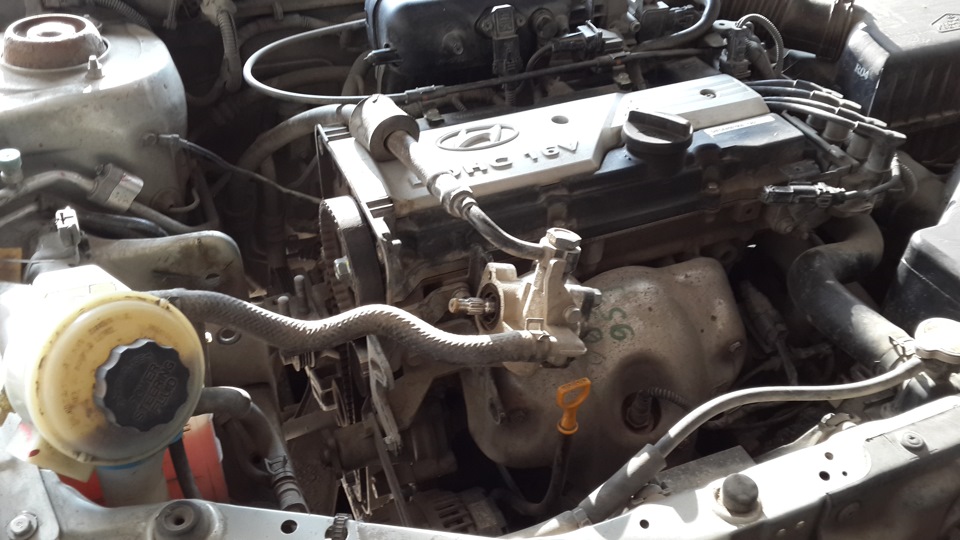Замена ремней — Hyundai Accent (2G), 1,5 л, 2008 года | своими руками ...