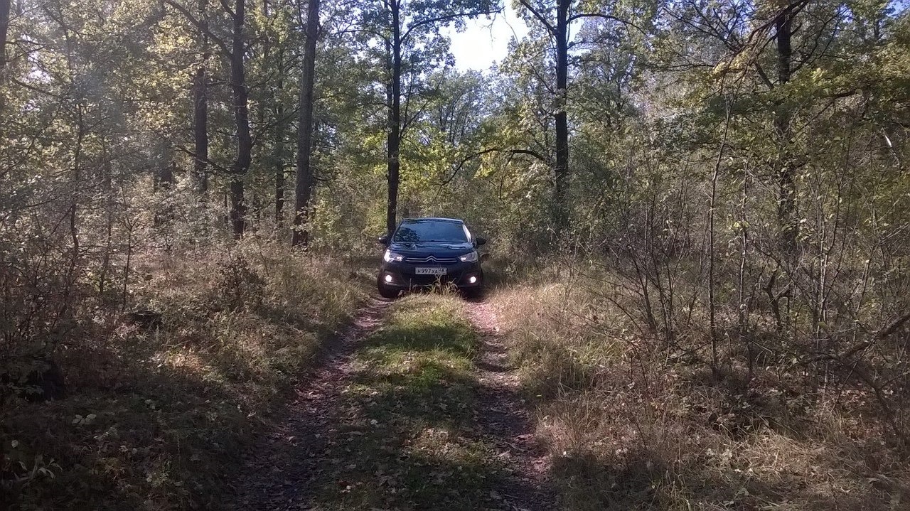 сегодня приговорили левый ступичный ( — Citroen C4 (2G), 1,6 л, 2012 ...