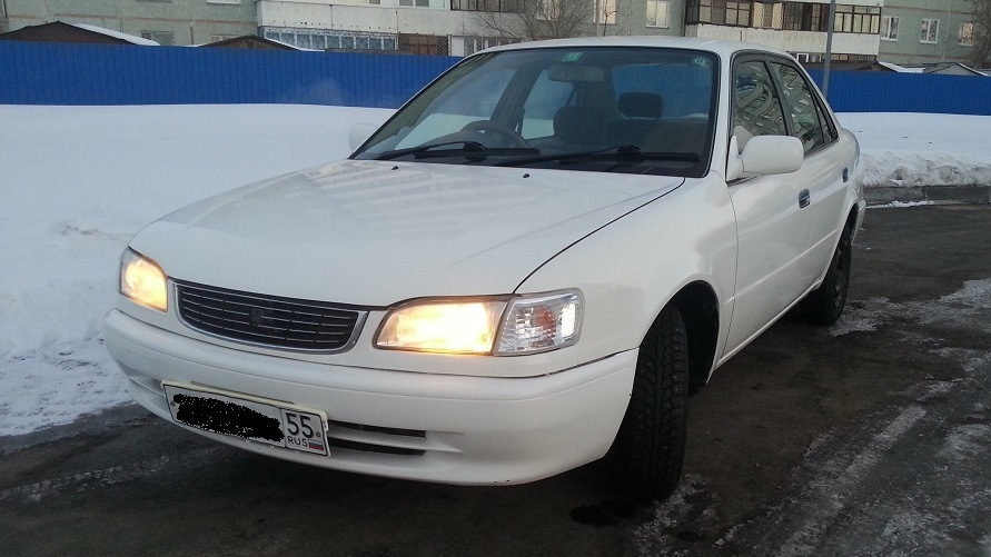Toyota Corolla (110) 1.6 бензиновый 2000 | ae114 (4везде) на DRIVE2