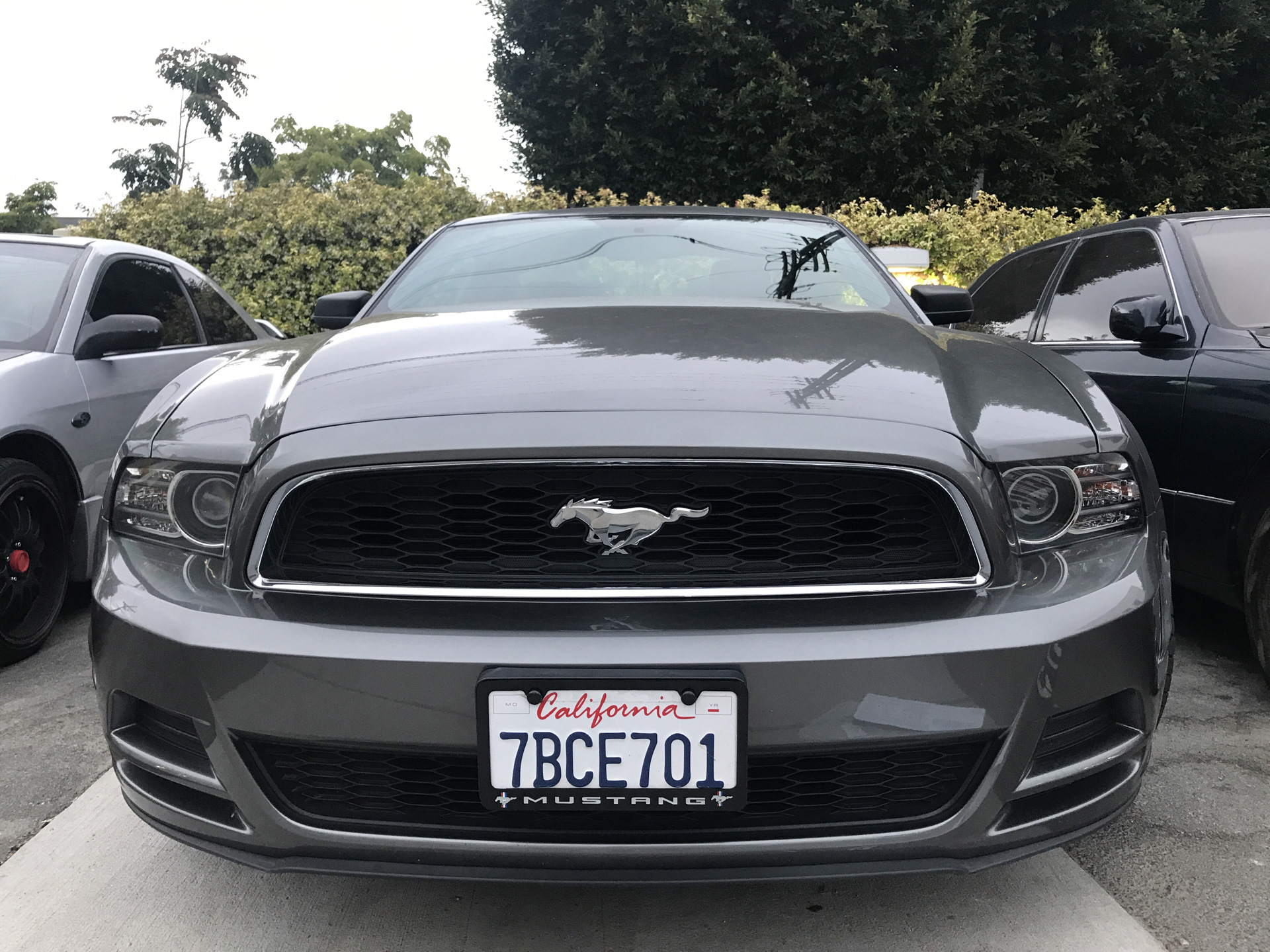 Ford Mustang License Plate Frame — Ford Mustang (5G), 3,7 л, 2014 года ...