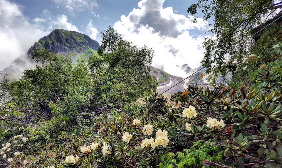 На работе 68. — DRIVE2