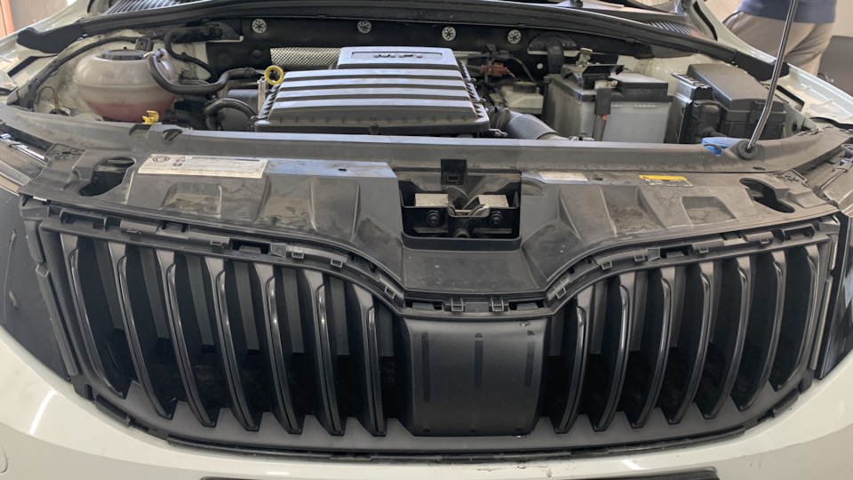 В топку хром) — Skoda Octavia A7 Mk3, 1,6 л, 2019 года | стайлинг | DRIVE2