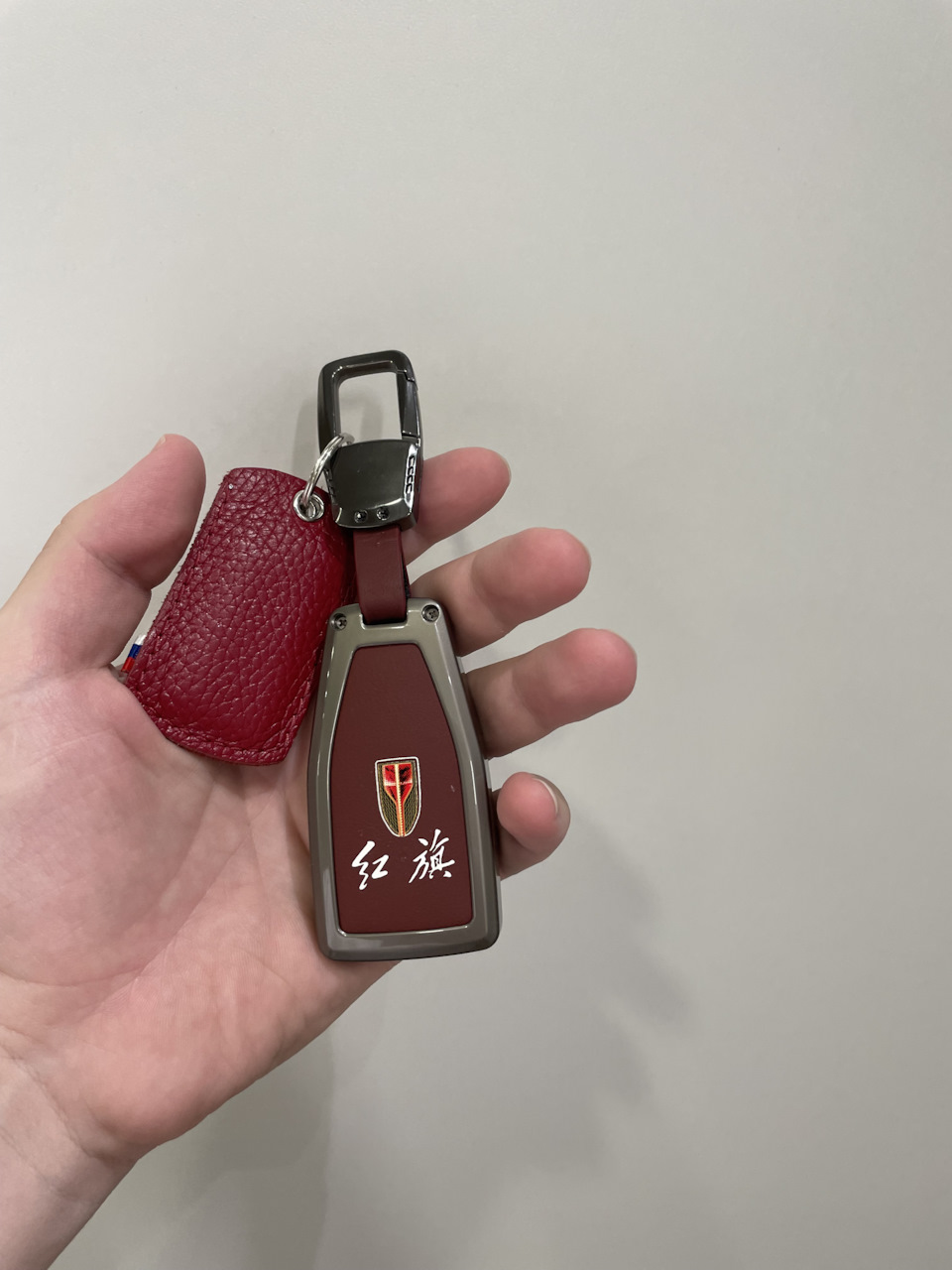 Бесключевой доступ — Hongqi HS5, 2 л, 2024 года | наблюдение | DRIVE2