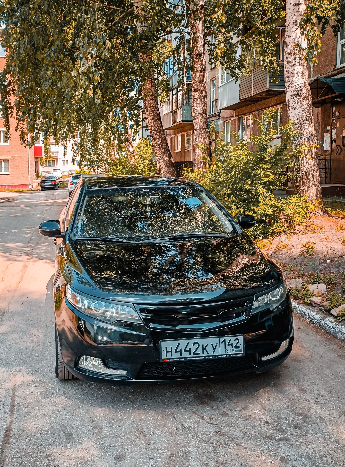 [N_24]BLACK EDITION 😎🔥🖤 — KIA Cerato (2G), 1,6 л, 2012 года | стайлинг | DRIVE2