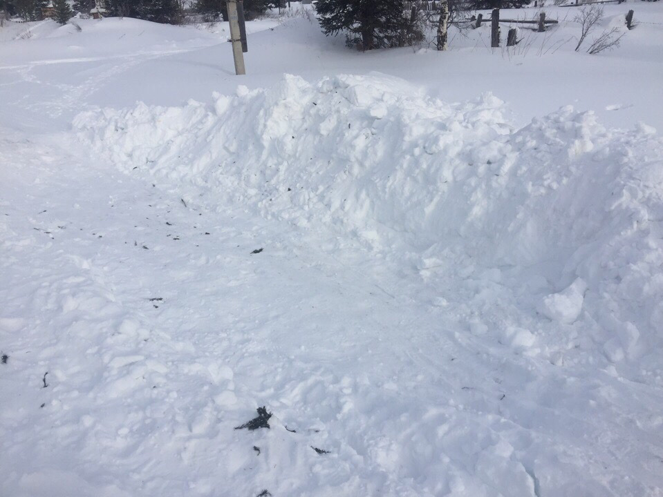 Неси лопату😅 — Toyota Estima Lucida, 2,2 л, 1995 года | покатушки | DRIVE2