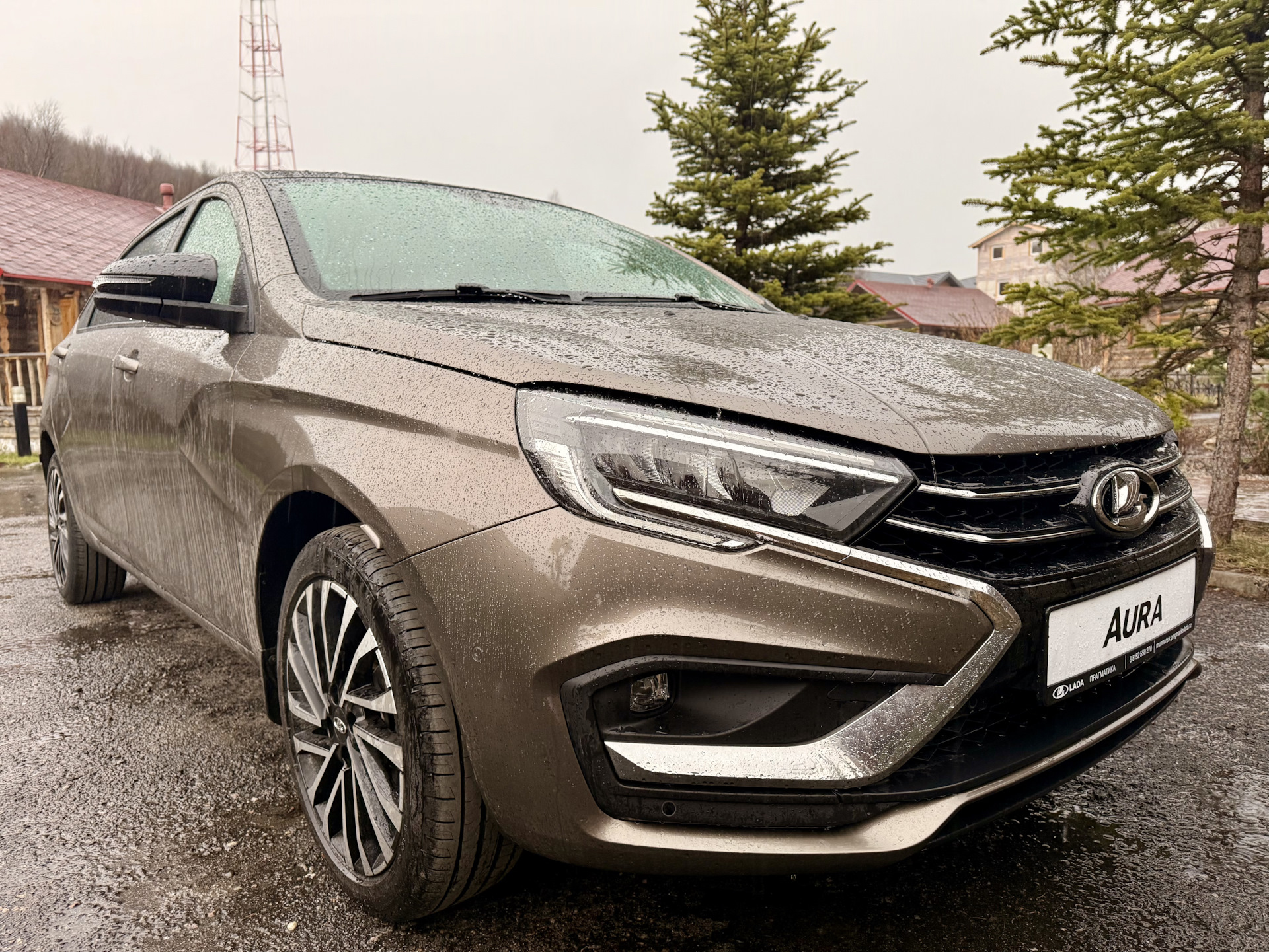 Что за львица эта тигрица?🤌🏻 — Lada Aura, 1,8 л, 2024 года | покатушки | DRIVE2