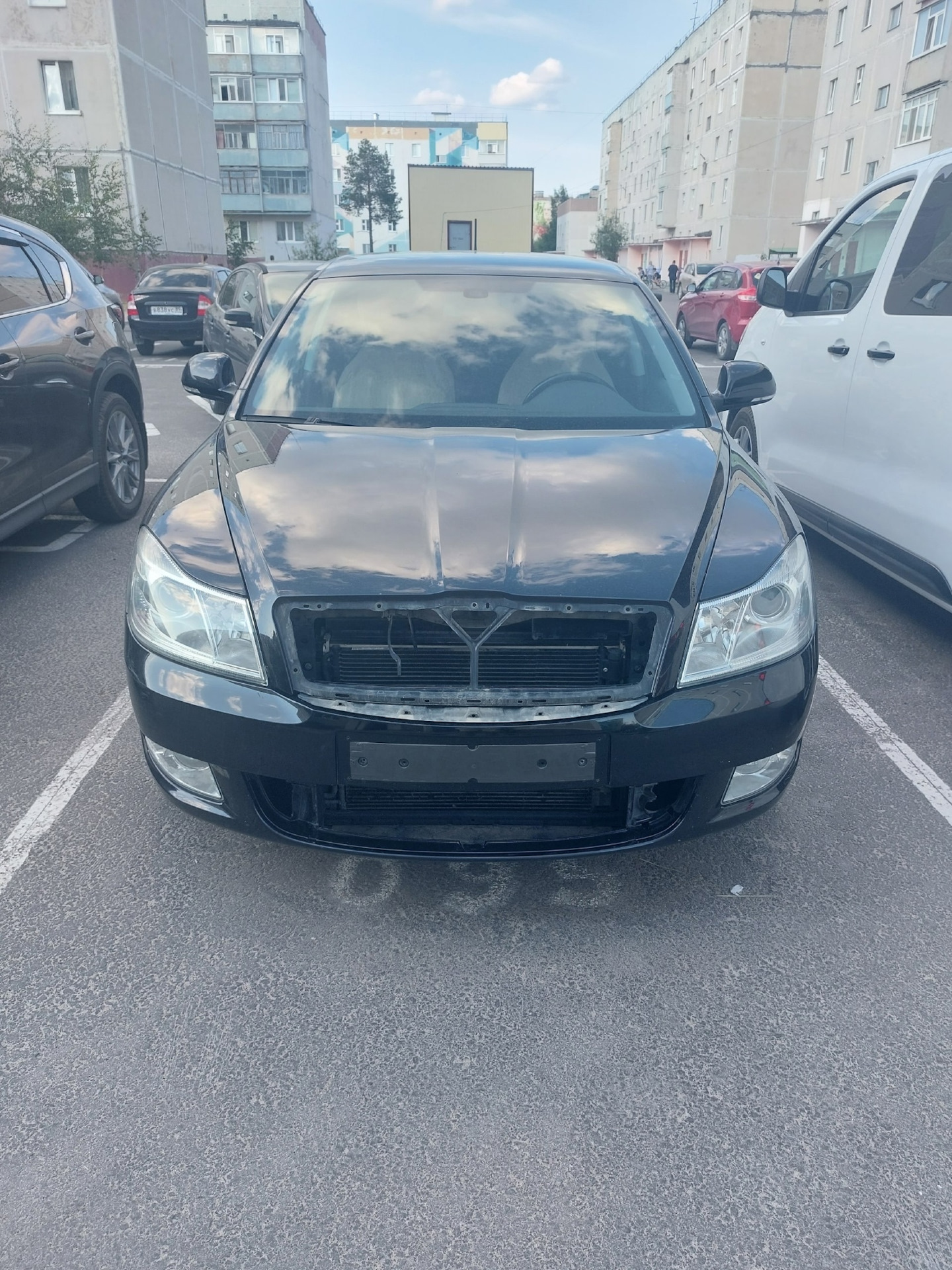 Защита радиатора для Октавиа A5 — Skoda Octavia A5 Mk2, 1,8 л, 2013 ...