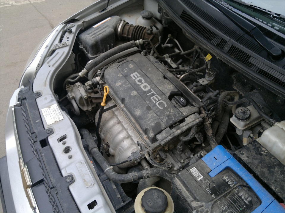 патрубок системы охлаждения — Chevrolet Aveo Sedan (1G), 1,4 л, 2010 ...