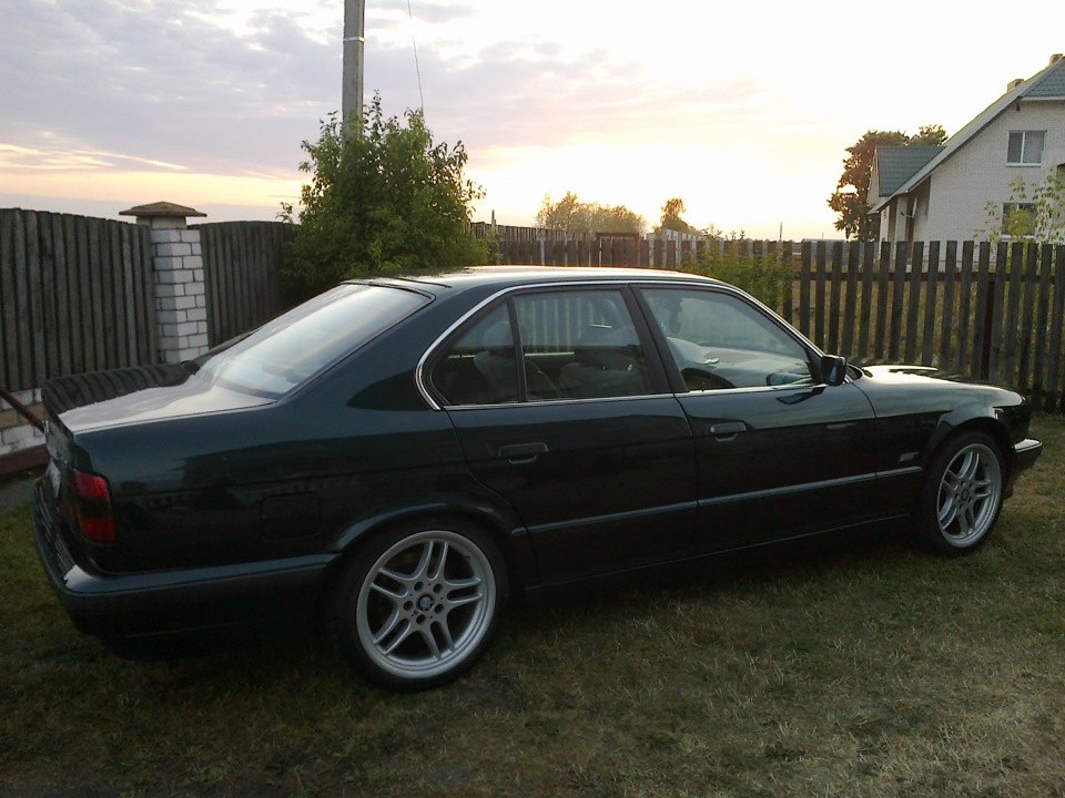 просто так — BMW 5 series (E34), 2 л, 1995 года | фотография | DRIVE2