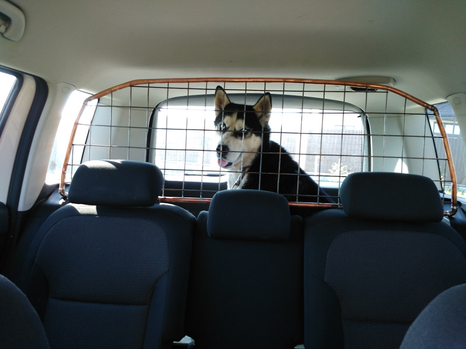 Разделительная решетка в багажник (типа DMM630001) — Skoda Yeti, 1,2 л ...