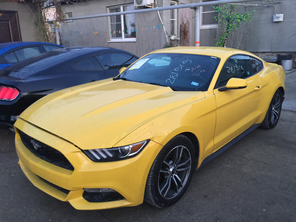 Первое знакомство — Ford Mustang (6G), 2,3 л., 2017 года | покупка ...