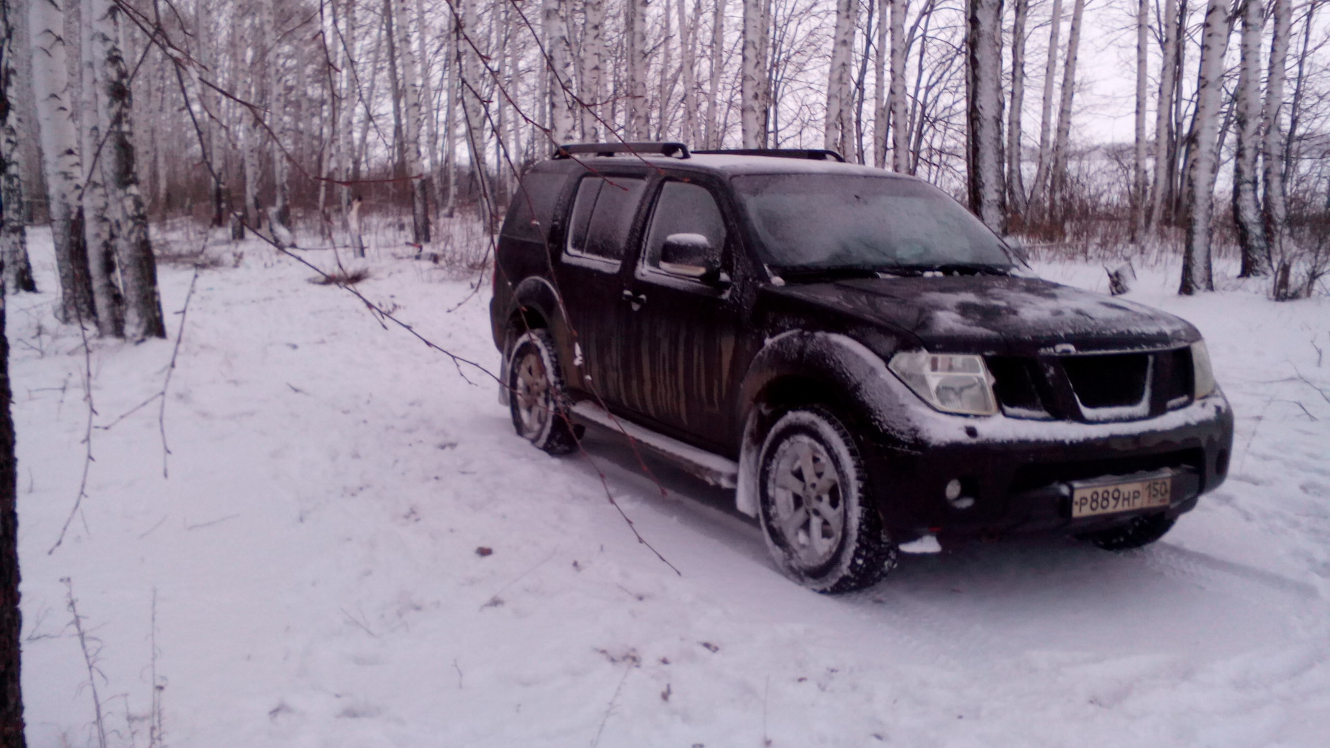 Nissan Pathfinder (3G) 2.5 дизельный 2007 | R51 "Big Black Car" BBC) на ...