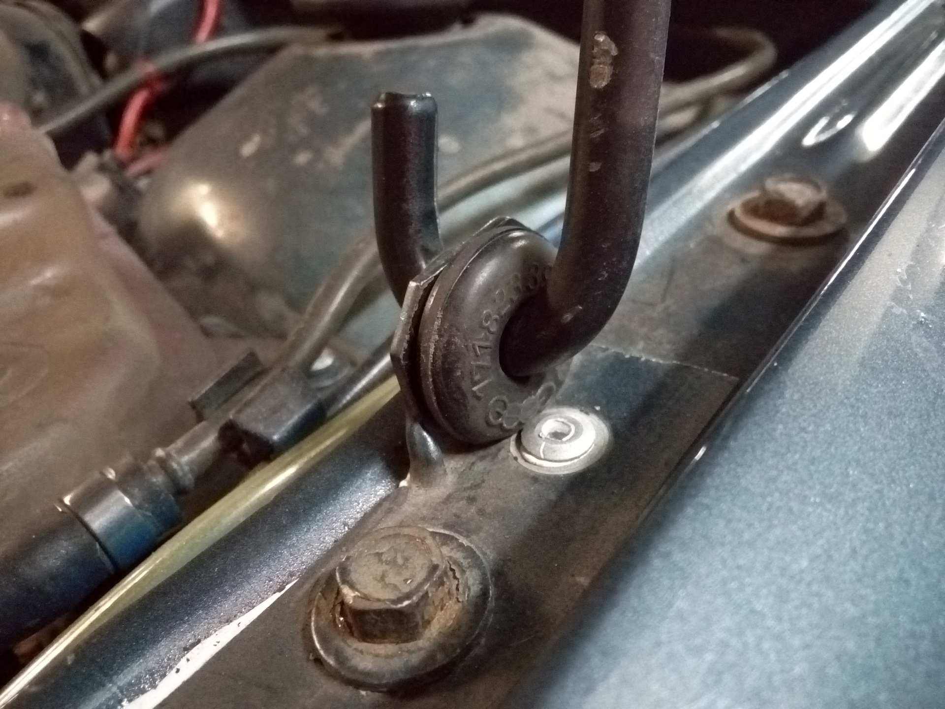 Маленькие друзья автомобилиста :) — Audi 80 (B3), 1,8 л, 1991 года ...