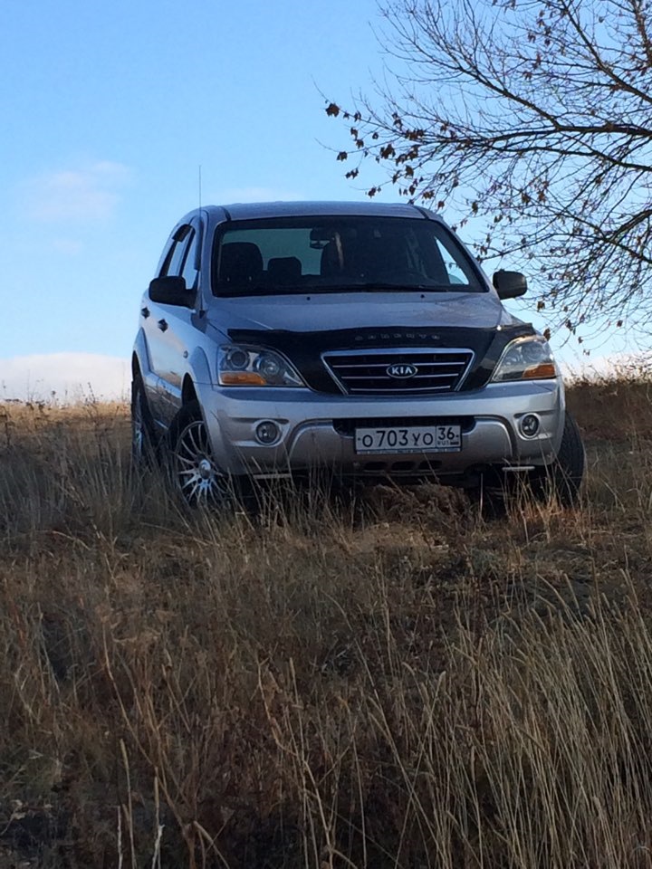 Осенние фото — KIA Sorento (1G), 2,5 л, 2007 года | покатушки | DRIVE2