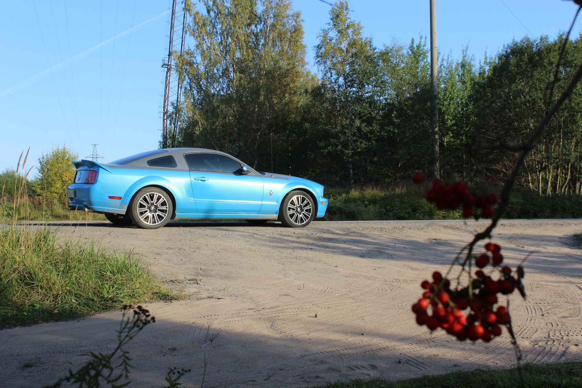 2017 год — Ford Mustang (5G), 4 л, 2007 года | фотография | DRIVE2