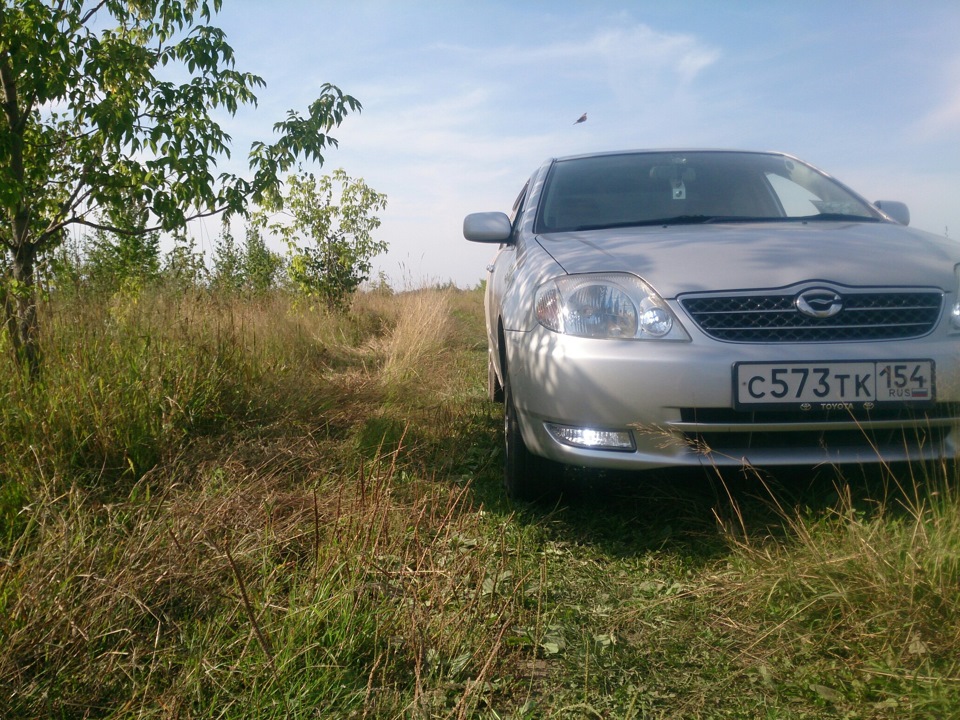 За грибочками) — Toyota Corolla (120), 1,5 л, 2001 года | путешествие ...